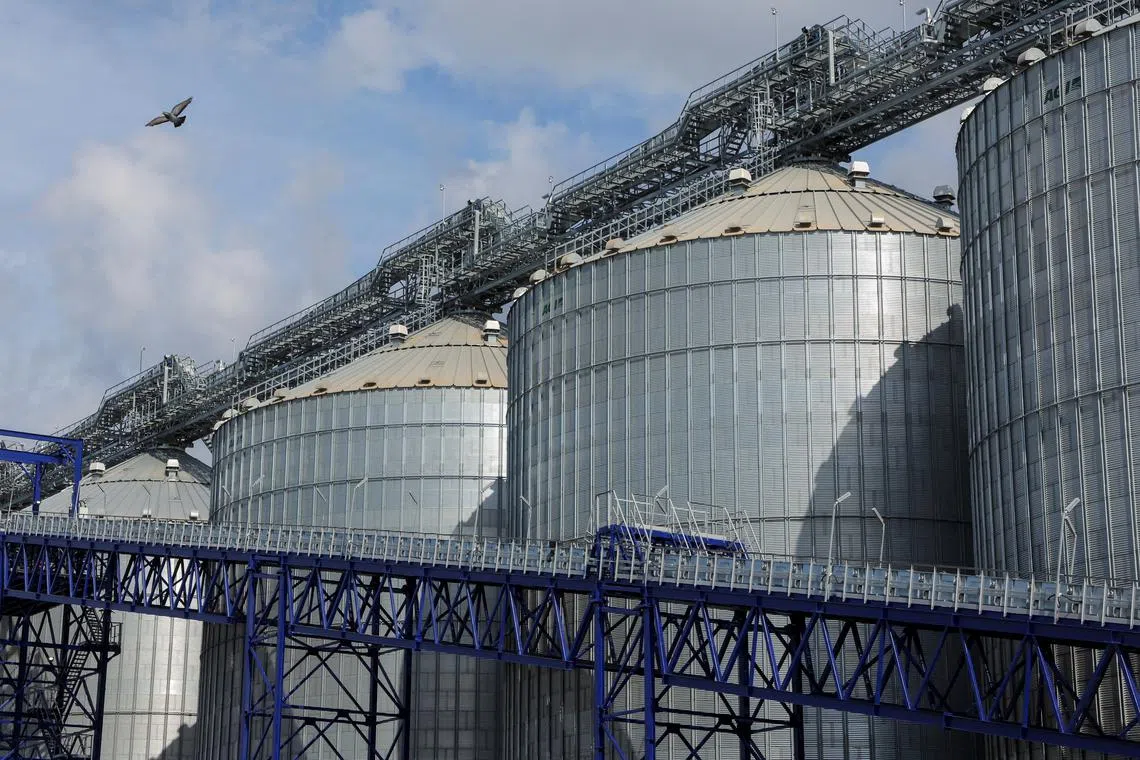 Russia expands Baltic ports as it eyes new grain markets | The Straits ...
