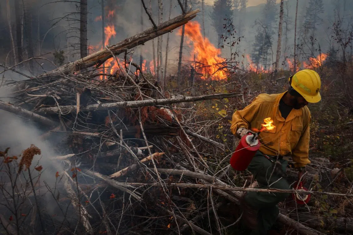 Washington state pioneers program to turn inmates into wildland ...