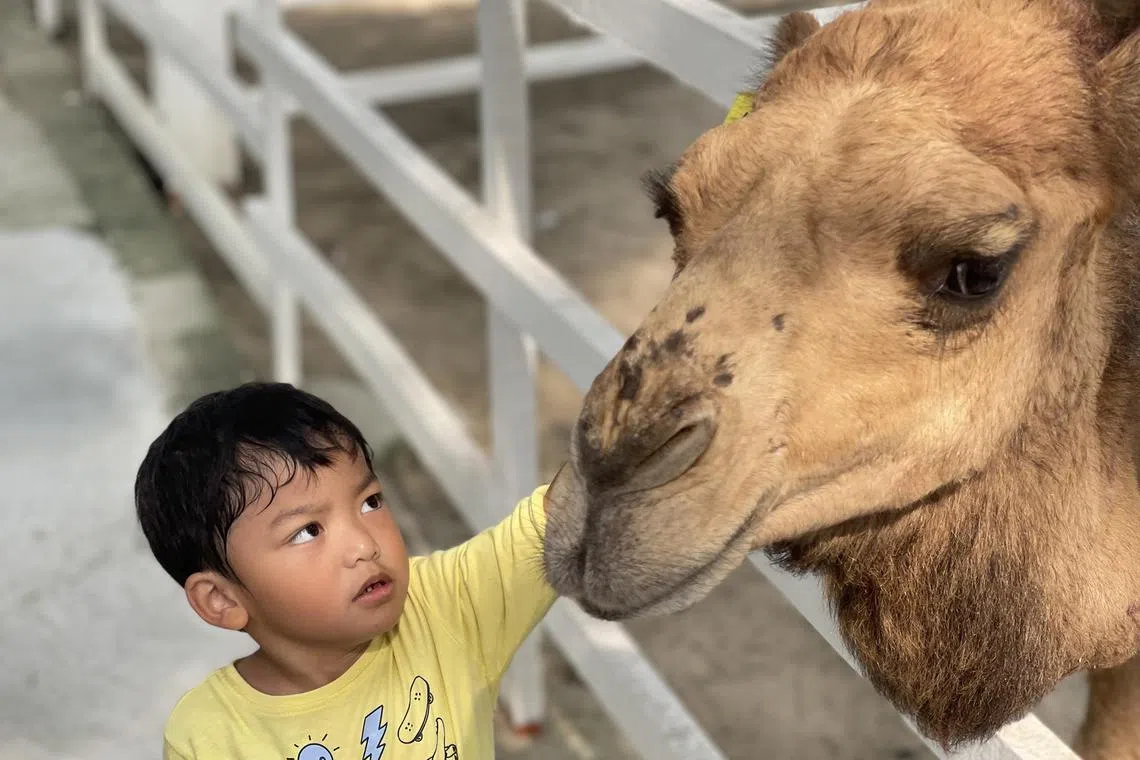 Travelling with kids: How to make the most out of every family holiday | The Straits Times