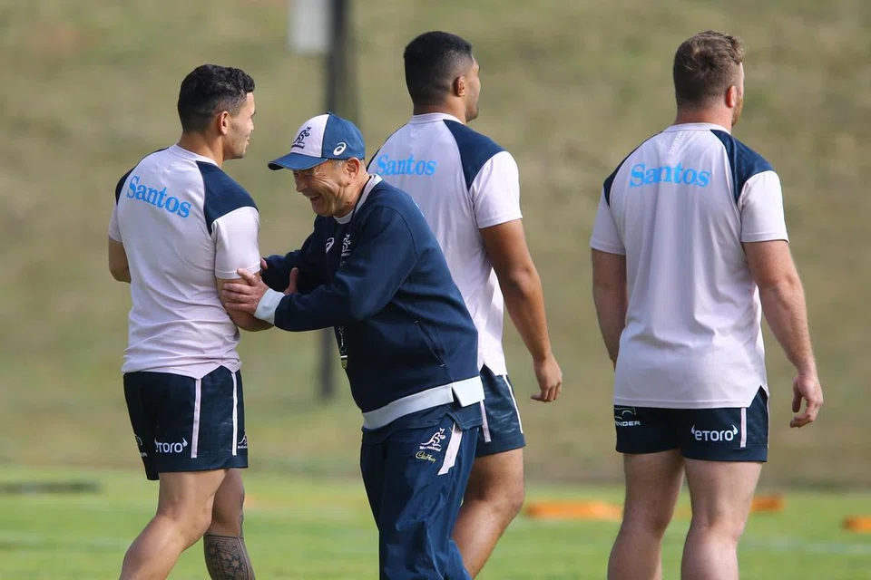 Shortened Rugby Championship provides World Cup litmus test | The ...