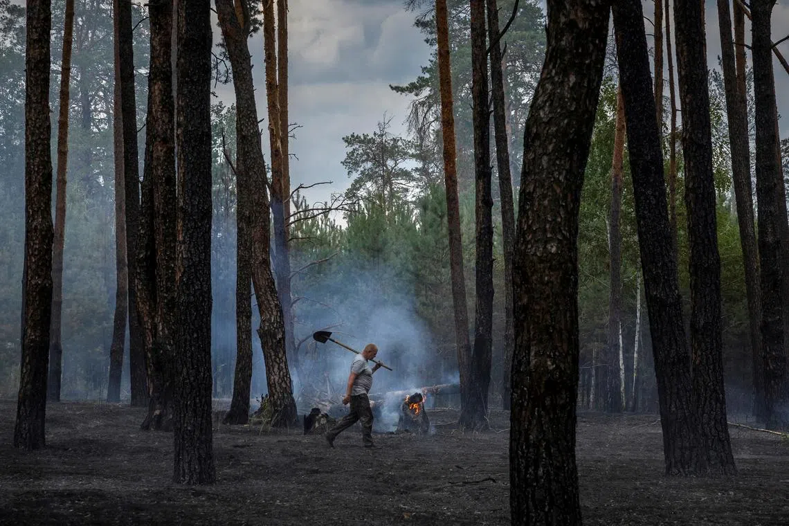 War ignited record-breaking wildfires in Ukraine last year, scientists ...