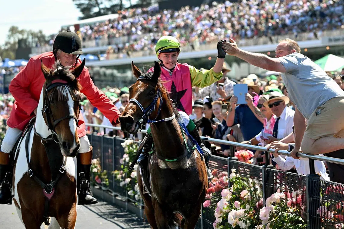 Singing jockey Robbie Dolan hits the high notes at Melbourne Cup after ...