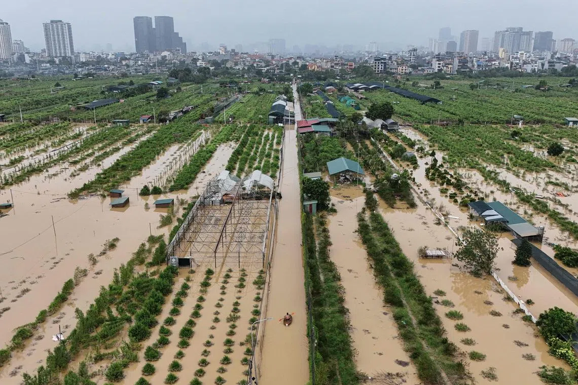 Vietnam farmers lose their blooms as floods claim crops | The Straits Times