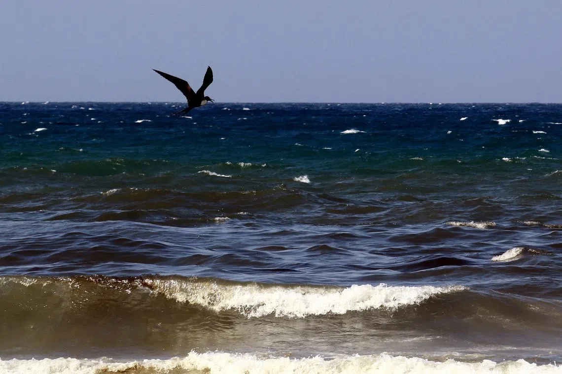 Oil spill reported off Venezuela's Caribbean coast | The Straits Times