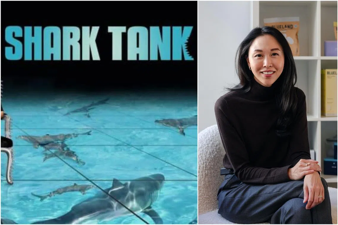 Want to understand the US economy? Watch Shark Tank | The Straits Times