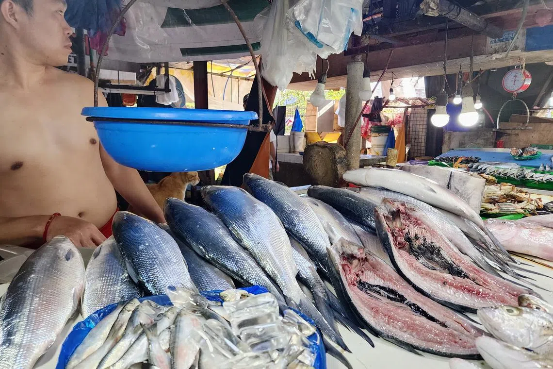 Philippine researchers say milkfish skin can be used to treat severe ...
