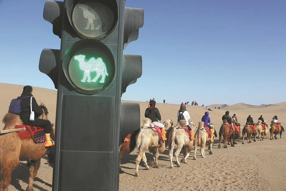 Traffic lights ease camel congestion at popular desert scenic spot in China | The Straits Times
