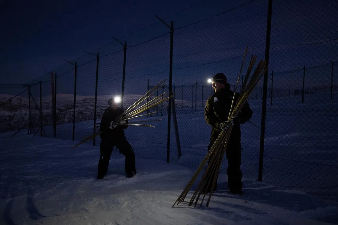 Norway gives Arctic foxes a helping hand amid climate woes | The ...