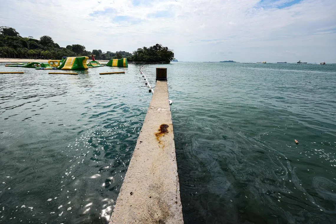 NEA advises public against swimming near several beaches after Shell’s ...