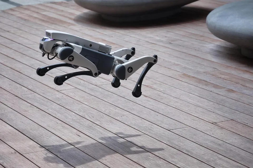 Who let the bots out? Robot dogs on the job in Singapore | The Straits ...