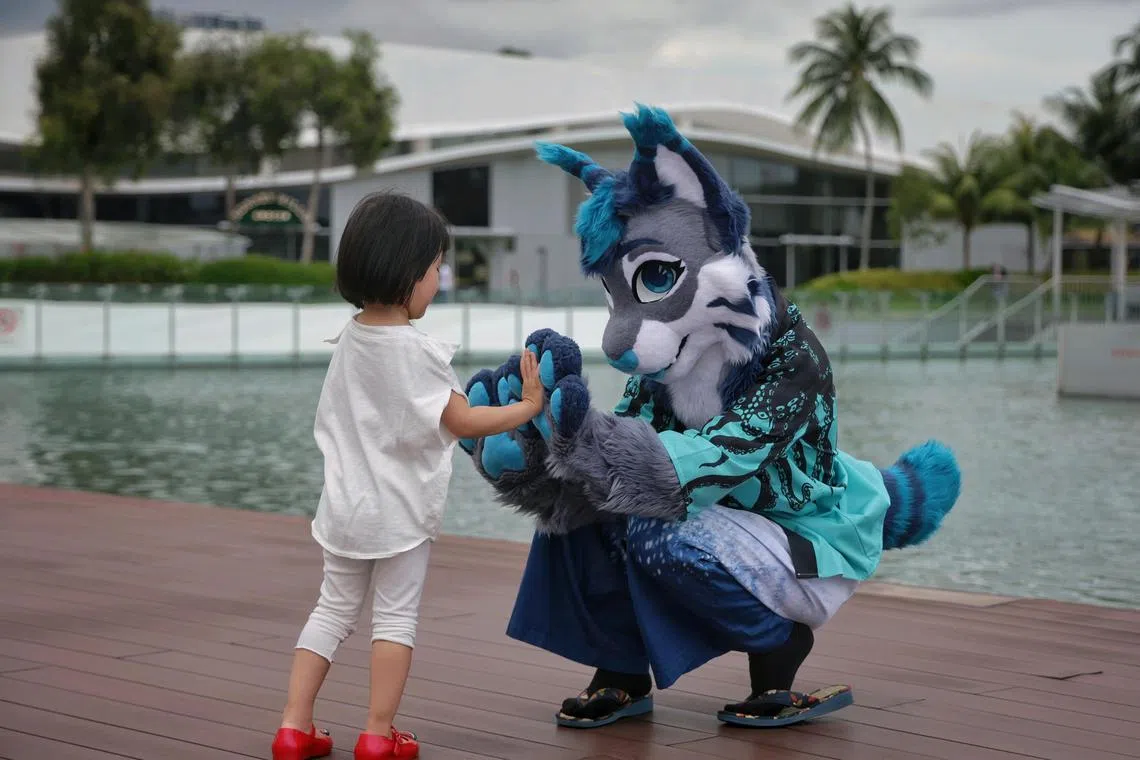 A furry cure for loneliness: ‘It’s like socialising on easy mode’ | The Straits Times