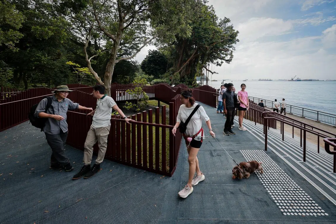 New walking trail opens in Labrador Nature Park featuring elevated ...