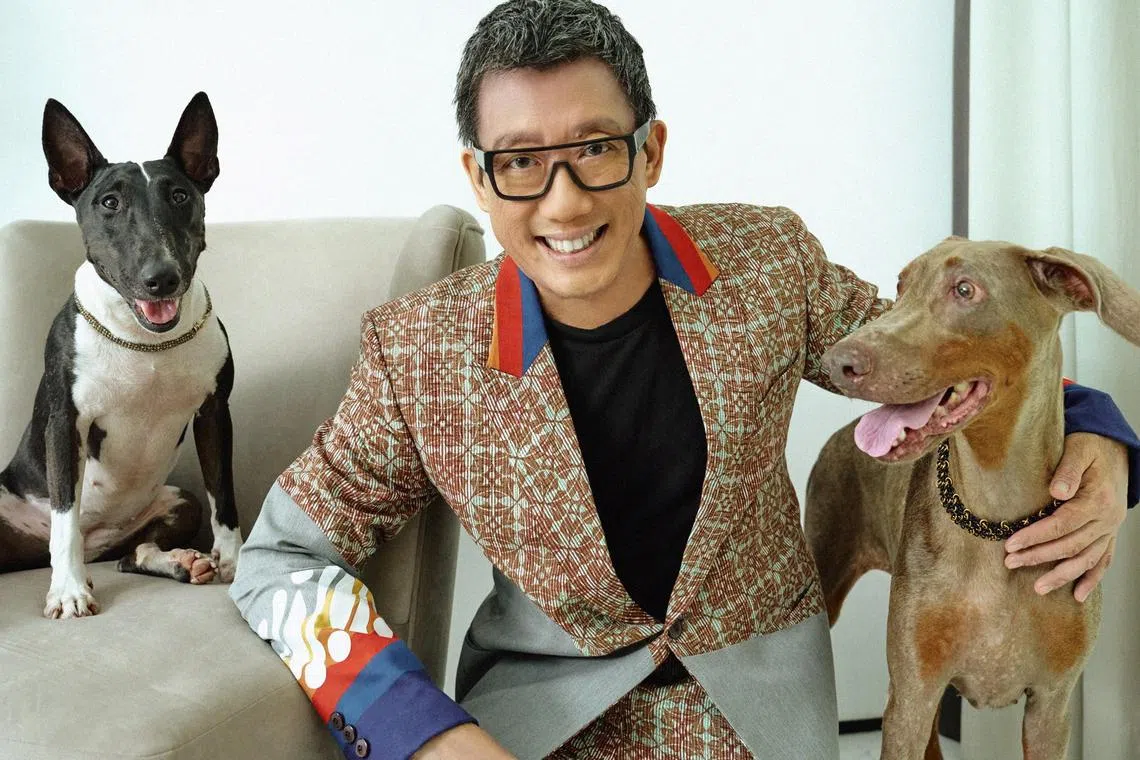 ‘Don’t adopt a dog to fill a temporary need,’ says fashion guru, dog ...