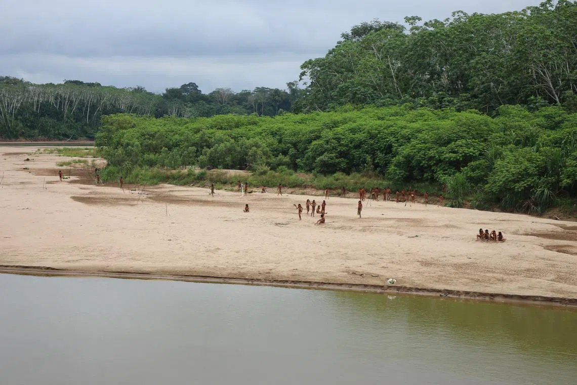 Uncontacted tribe sighted in Peruvian Amazon where loggers are active ...