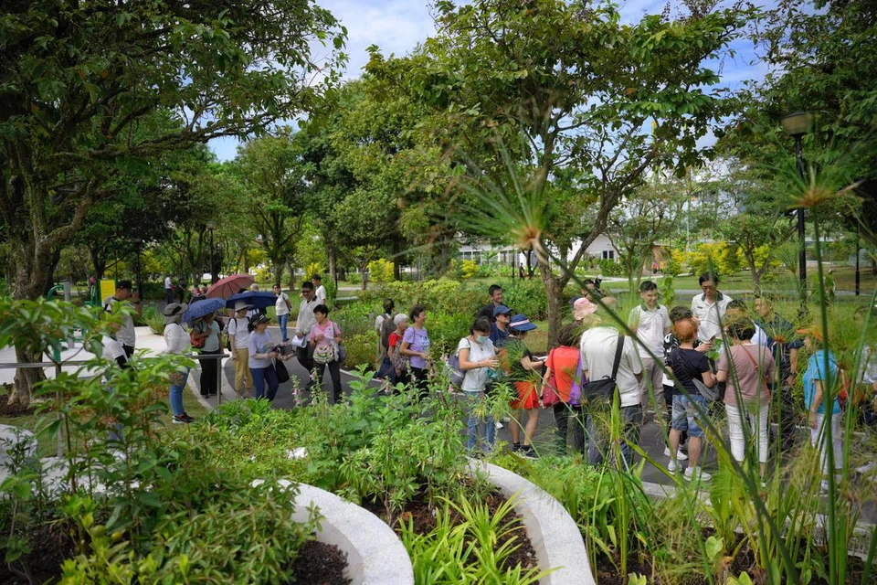 Therapeutic garden opens in West Coast Park with seniors’ zone, kids ...