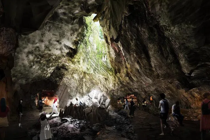 Eco-resort Mandai Rainforest Resort set to open in first half of 2025 ...