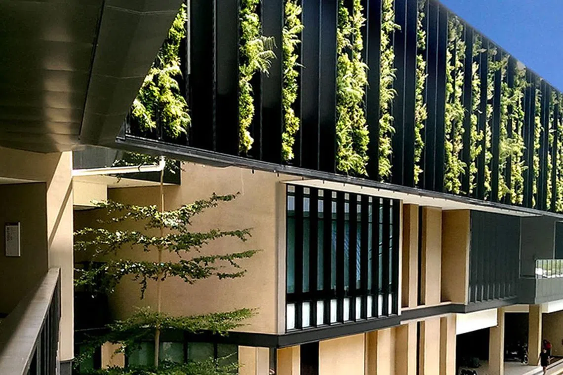 Temasek Poly sets 2050 net-zero target for sustainability road map ...