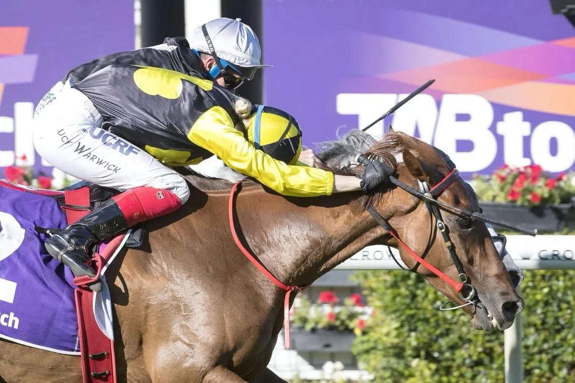Filthy Habits carries Fiore team’s dream into Perth Cup | The Straits Times