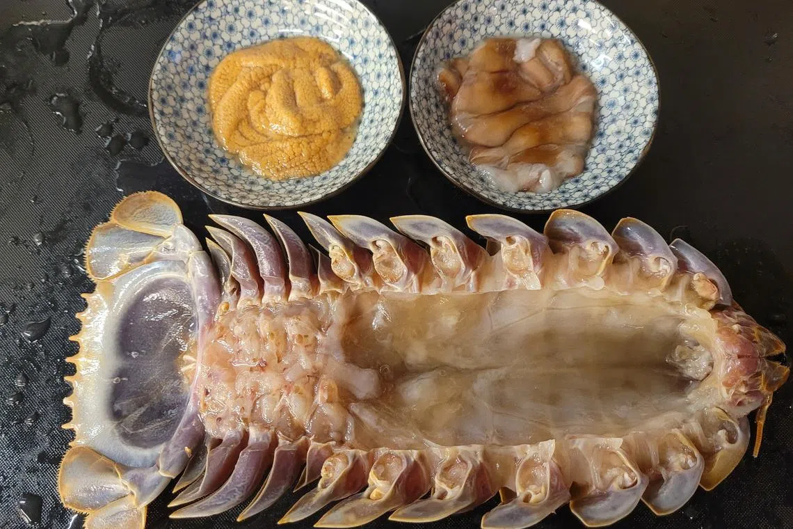Taipei eatery serves up ramen with 14-legged isopod for $65 | The ...