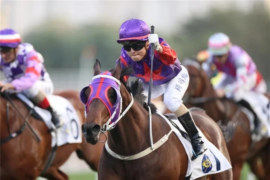 Fallon should rule the roost | The Straits Times