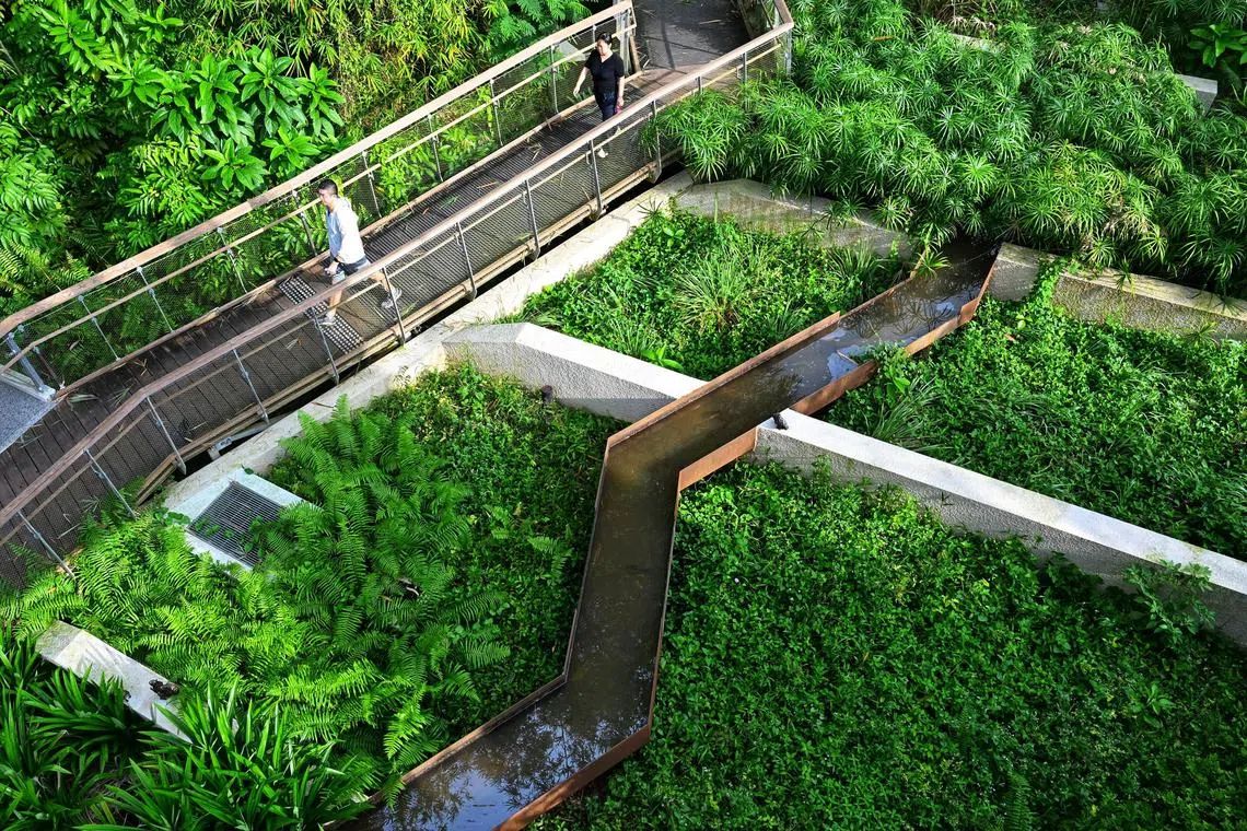 16 projects get NParks certification for landscaping efforts to green ...