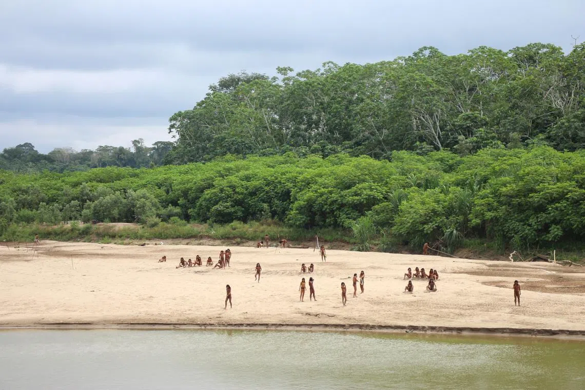 Uncontacted tribe sighted in Peruvian Amazon where loggers are active ...