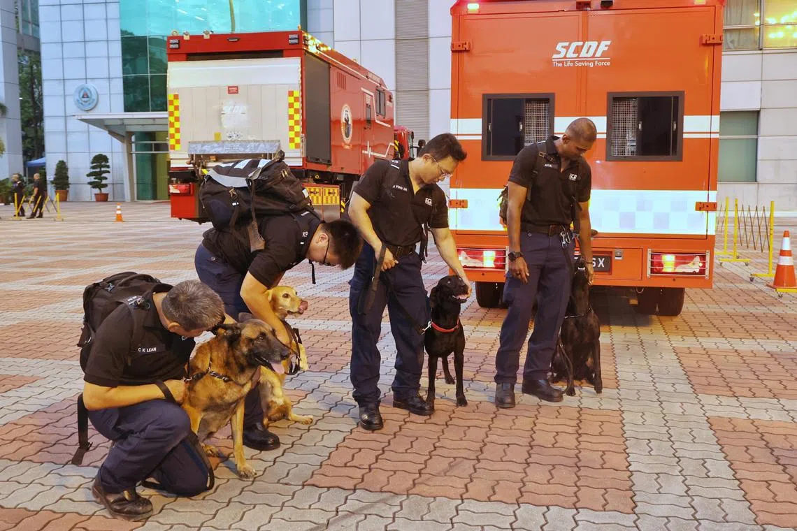 SCDF sends 80-member team to aid quake-stricken Myanmar | The Straits Times