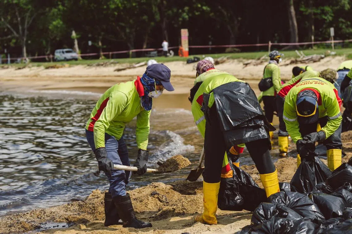 Over 71,000kg of oil-soaked sand scooped up at Sentosa’s beaches ...