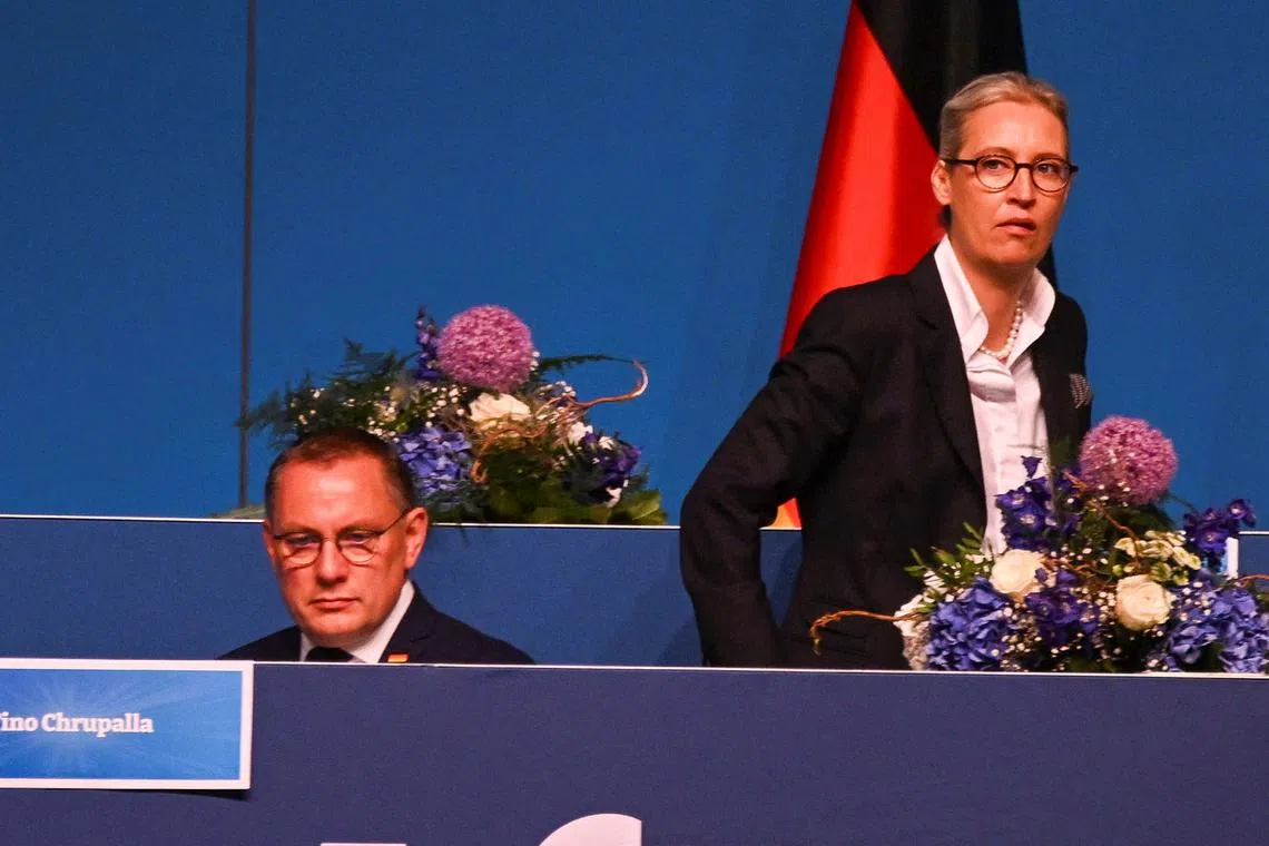 Germany's far-right AfD closes ranks at party congress after scandals ...