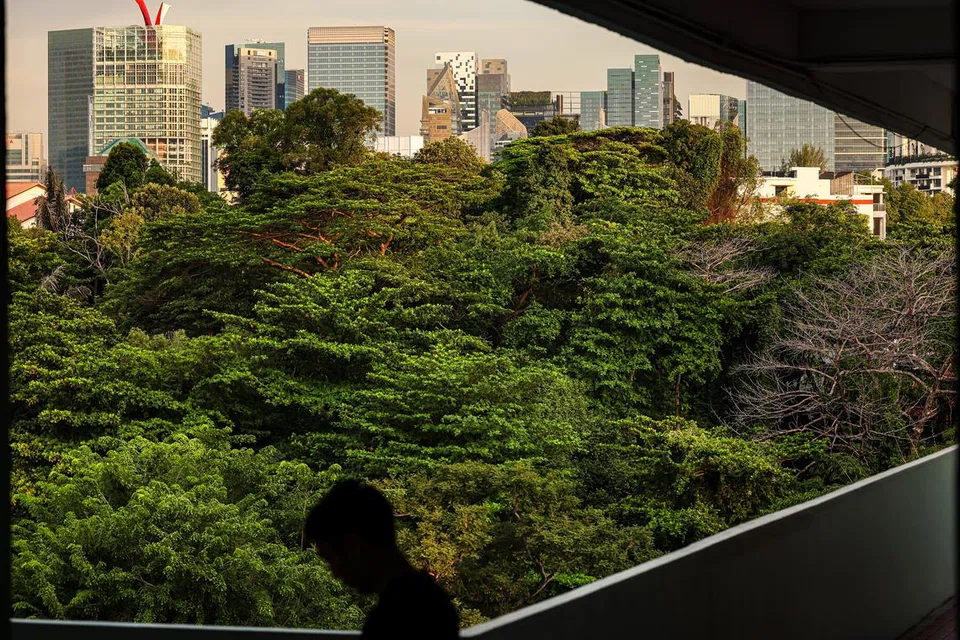 More tools for firms to navigate sustainability reporting, solutions ...