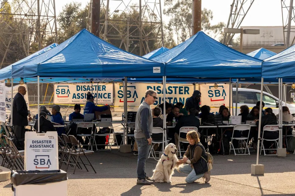 Trump establishes council to review federal disaster response agency ...