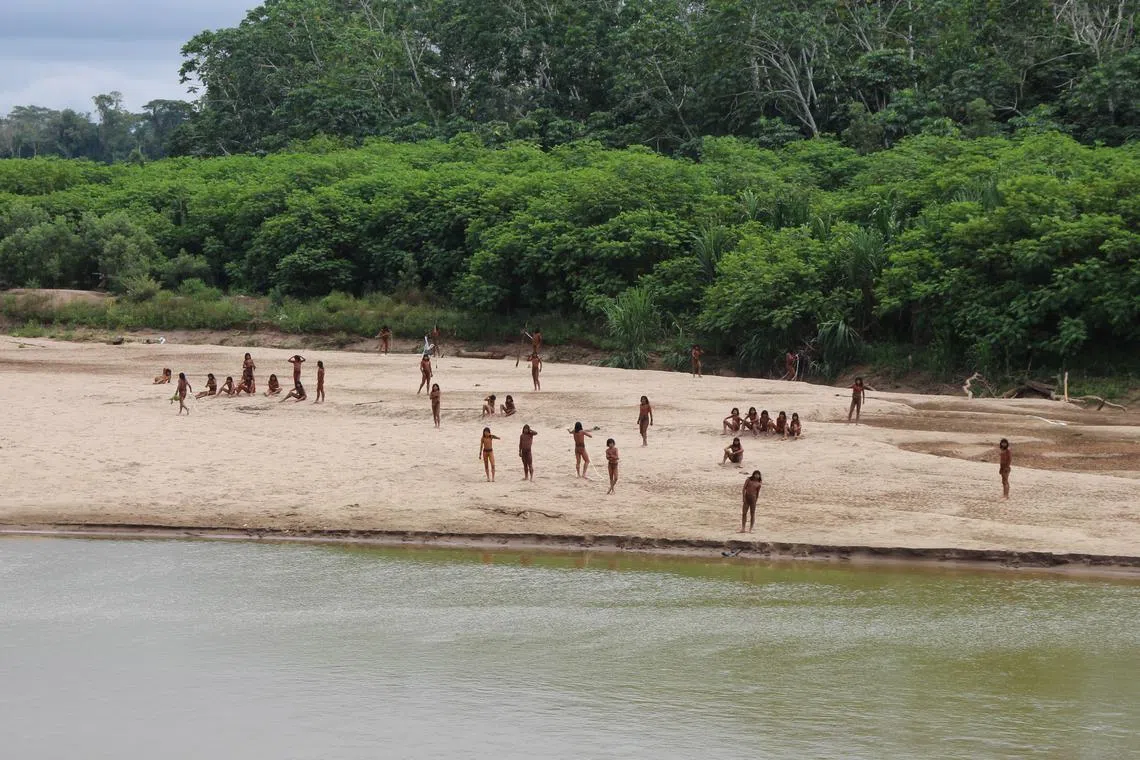Uncontacted tribe sighted in Peruvian Amazon where loggers are active ...