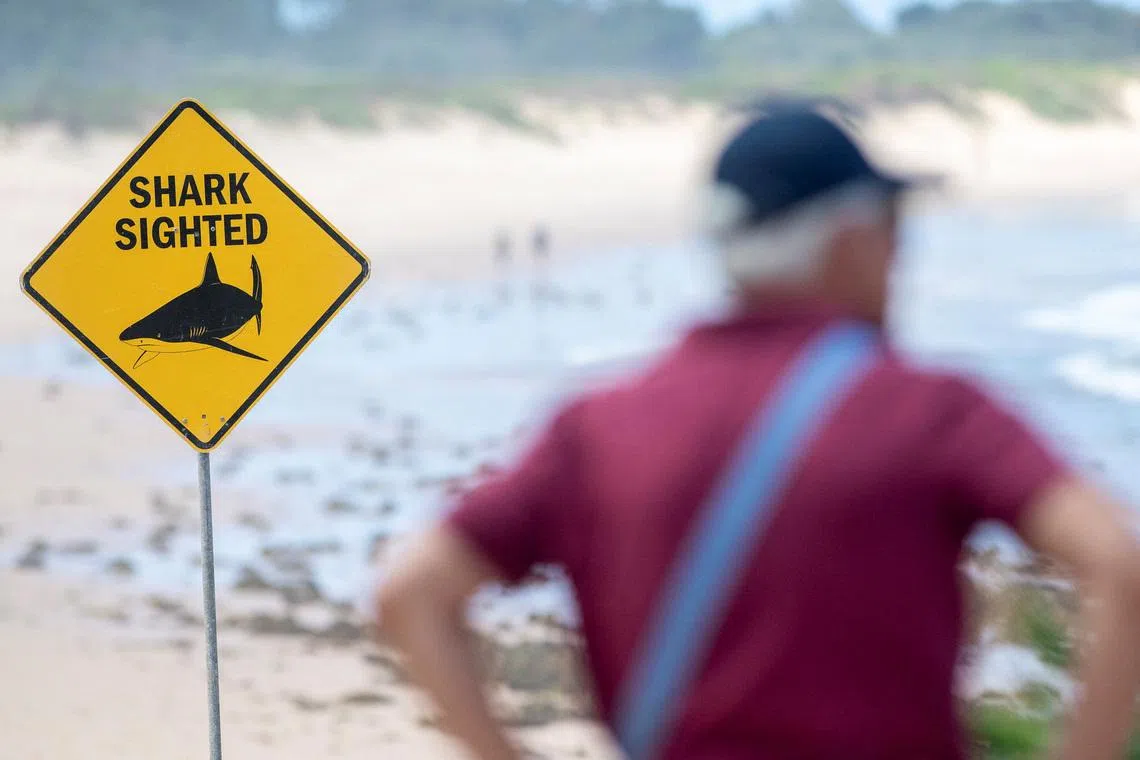 Sydney beaches close after three shark attacks in two days | The ...