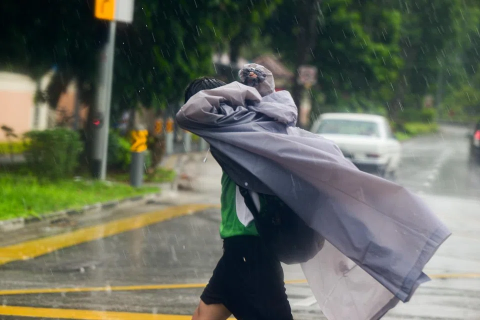 Short, thundery showers in late morning, afternoon on most days for ...