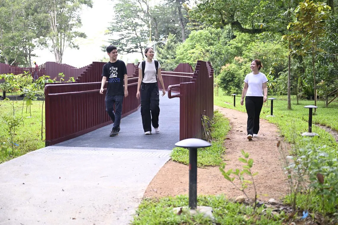 New trail passing through part of restored coastal forest opens in ...