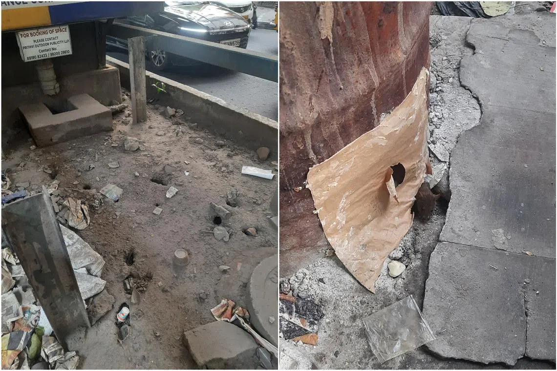 It’s a rat race in Kolkata, and the rats seem to be winning | The ...