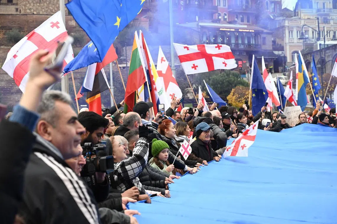 Georgians march for EU ahead of candidacy decision | The Straits Times