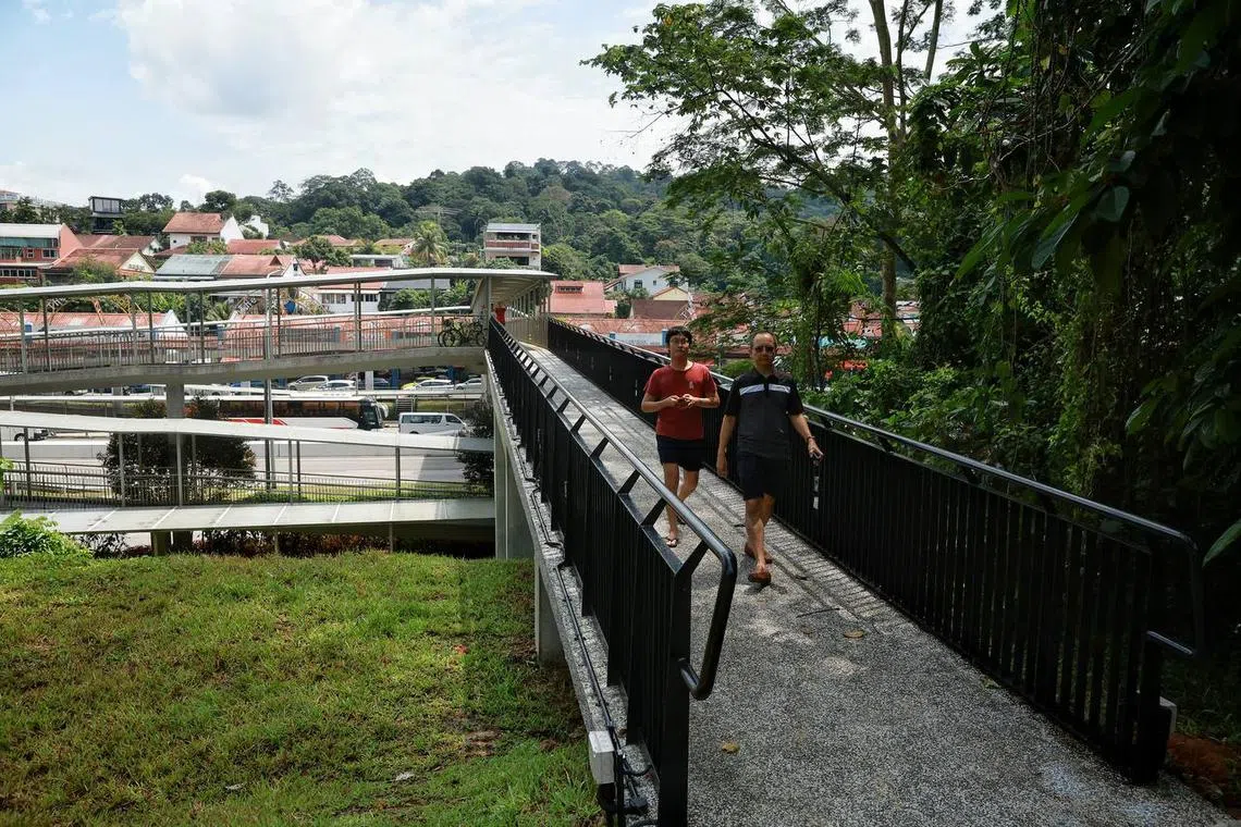 Northern stretch of Rail Corridor opens to offer 21km of green trails ...
