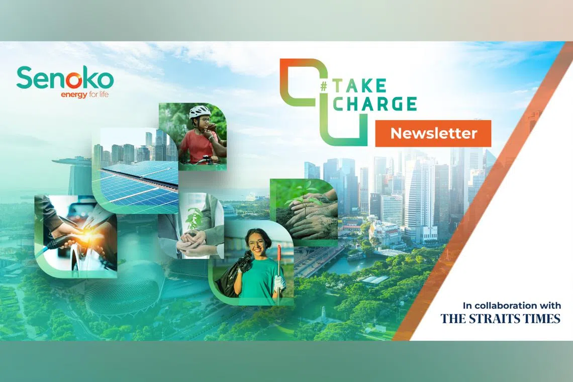 ST ties up with Senoko Energy to publish newsletter for firms adopting ...