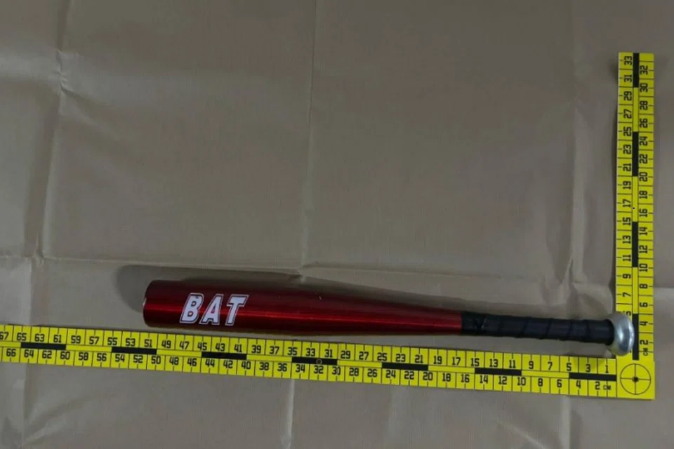 Man charged over allegedly using baseball bat to hit police inspector’s ...