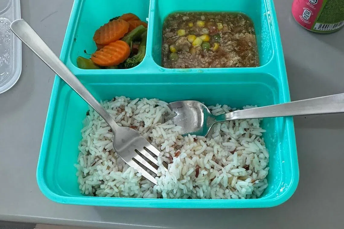 SATS bentos for Hwa Chong criticised; school says photos online don’t ...