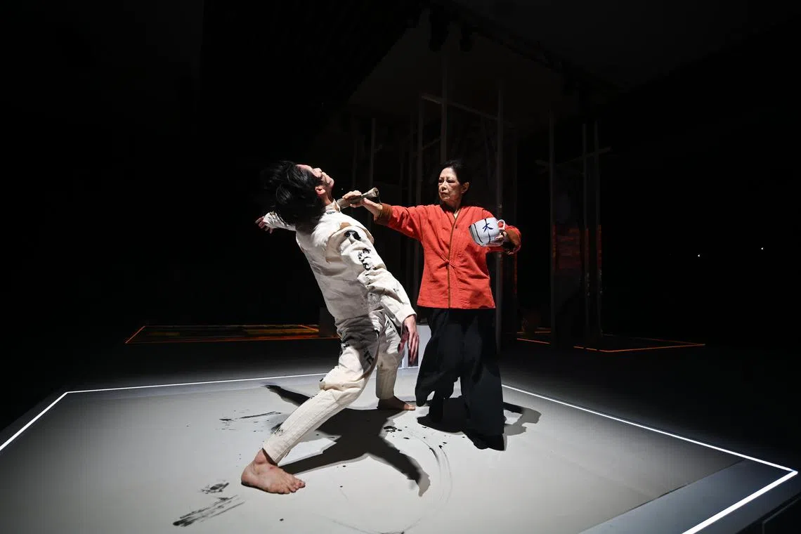 Interactive installation explores connections between dance and other ...