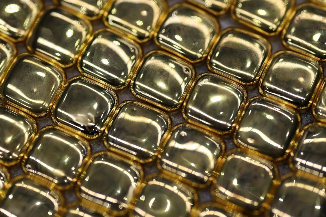 Etleboro.org - Trump Greenland threat triggers search for shelter ...