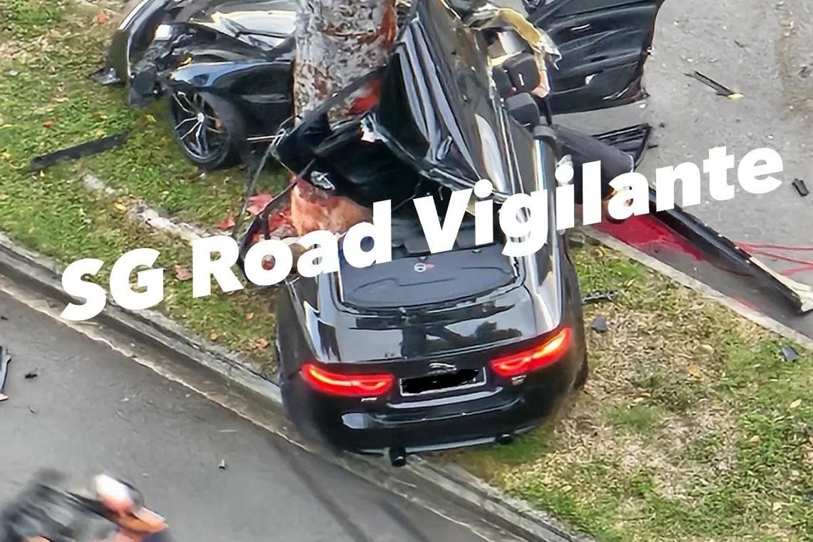 Driver dies after car crashes into tree in Clementi | The Straits Times