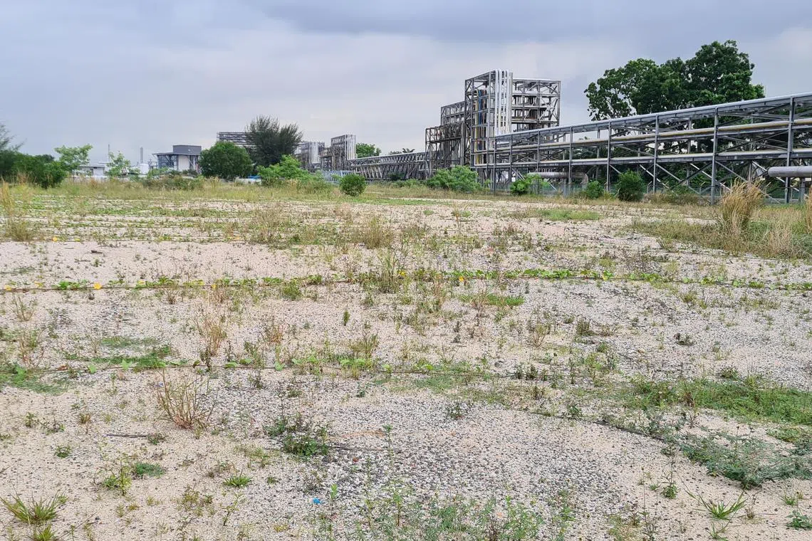 Keppel power plant to be built on former chemical plant site; nature ...