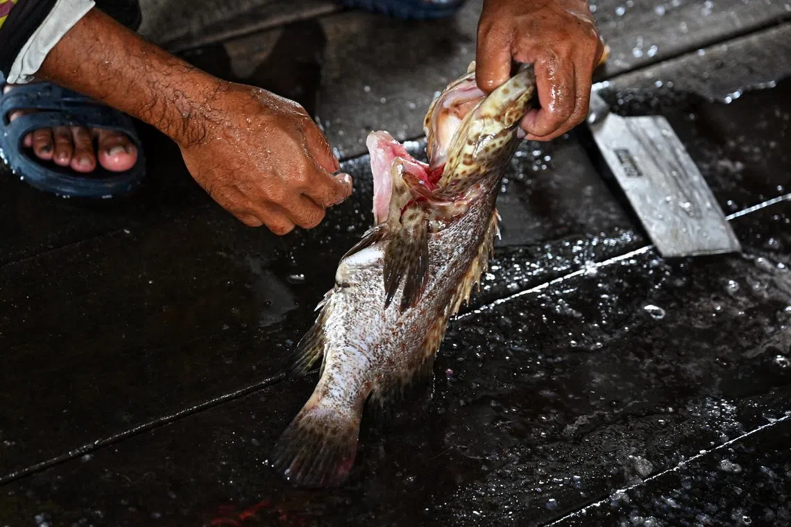 Fate of one of Singapore’s last kelongs hangs in the balance | The ...