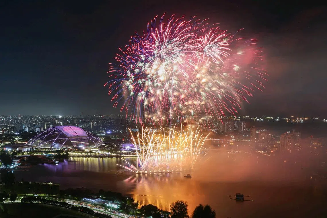 National Day fireworks: How to manage pets’ anxiety over sudden, loud ...