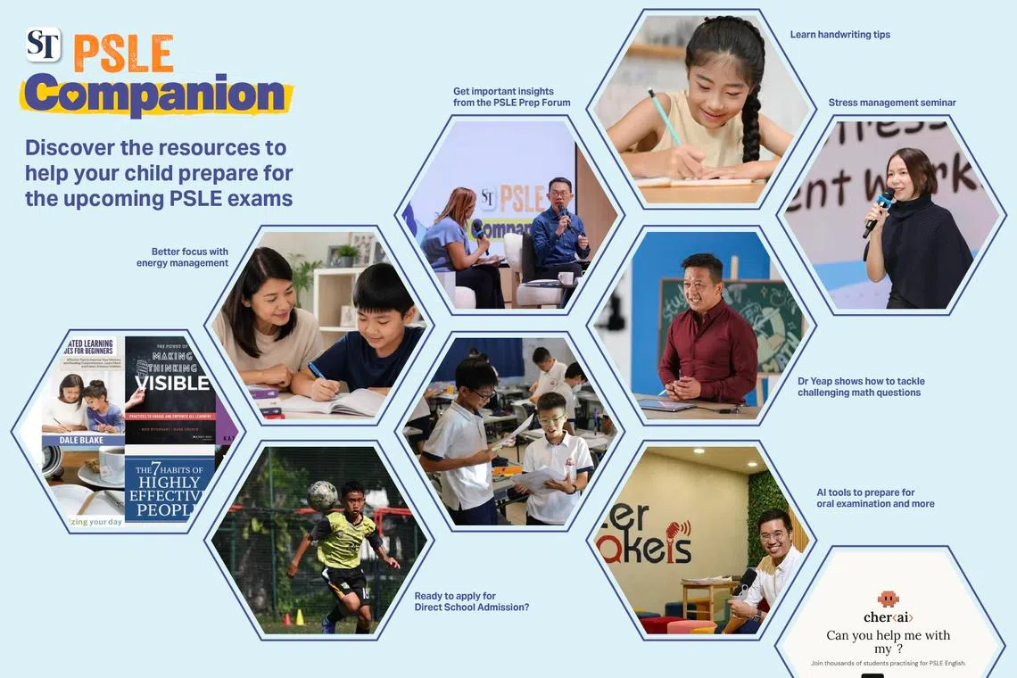 With 10 weeks left to the PSLE English oral, use revision strategies ...