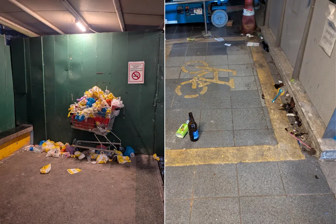 NEA steps up anti-littering patrols after online photos of rubbish near ...