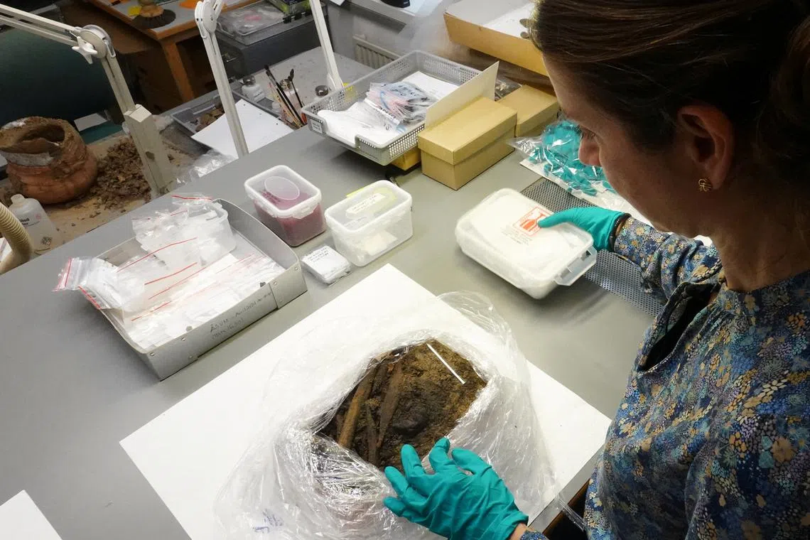 Danish archaeologists unearth 50 Viking skeletons | The Straits Times